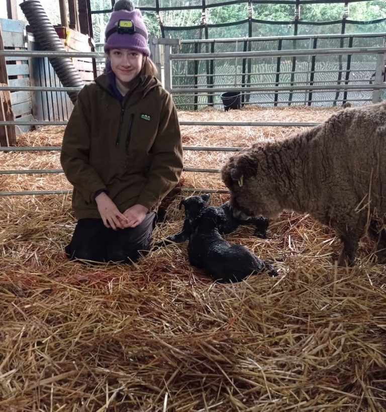 Ryecroft Rare Breeds – Welcome to the farm